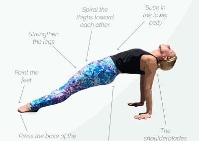 Reverse Plank Pose - Purvottanasana पूर्वोत्तानासन